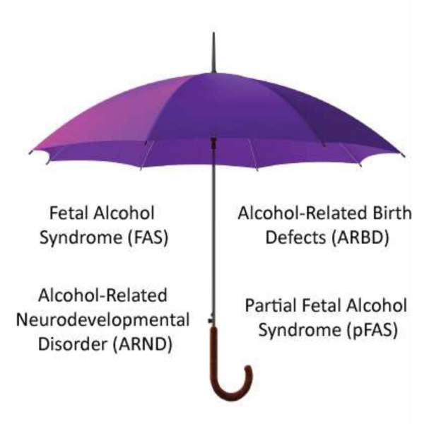 FASD: What Is It?